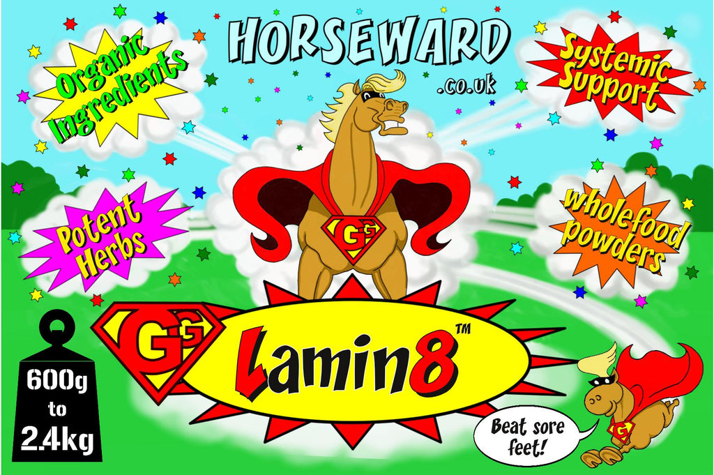 GG LAMIN8™ Super help for laminitics – Horseward